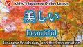 How to say "beautiful" in Japanese | 美しい (うつくしい、utsukushī) | Ichiyo's ...