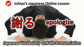 How to say "apologize" in Japanese | 謝る (あやまる、ayamaru) | Ichiyo's ...