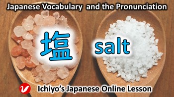 How to say “salt” in Japanese | 塩 (しお、shio) | Ichiyo's Japanese ...