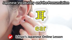 How to say "ear" in Japanese | 耳 (みみ、mimi) | Ichiyo's Japanese Learning ...