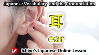 How to say "ear" in Japanese | 耳 (みみ、mimi) | Ichiyo's Japanese Learning ...