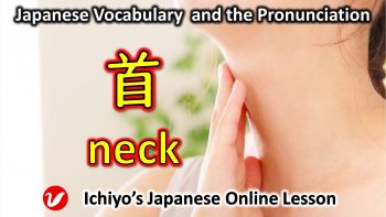 How to say “neck” in Japanese | 首 (くび、kubi) | Ichiyo's Japanese ...