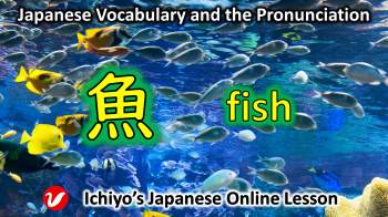 How to say “fish” in Japanese | 魚 (さかな、sakana) | Ichiyo's Japanese ...