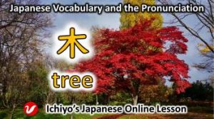 How to say “tree” in Japanese | 木 (き、ki) | Ichiyo's Japanese Learning Site