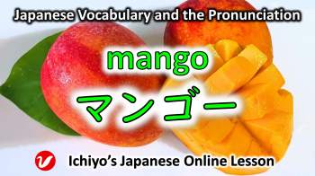 How to say "mango" in Japanese | マンゴー (mangō) | Ichiyo's Japanese ...