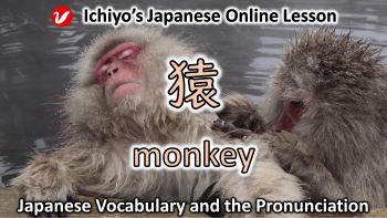 How to say “monkey” in Japanese | 猿 (さる、サル、saru) | Ichiyo's Japanese ...