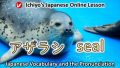 How to say “seal” in Japanese | アザラシ (azarashi) | Ichiyo's Japanese ...