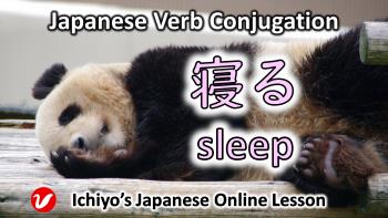 Verb Conjugation「寝る (neru)」sleep, will sleep | Learn Japanese Grammar ...