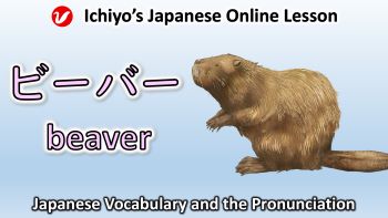 How to say “beaver” in Japanese | ビーバー (bībā) | beaver) | Ichiyo's ...